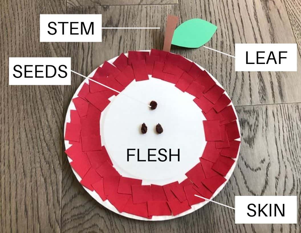 Easy and Fun Paper Plate Apple Craft - Mombrite