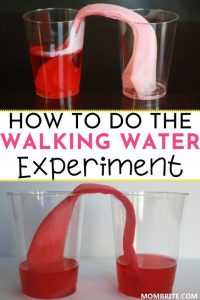 Rainbow Walking Water Experiment | Mombrite