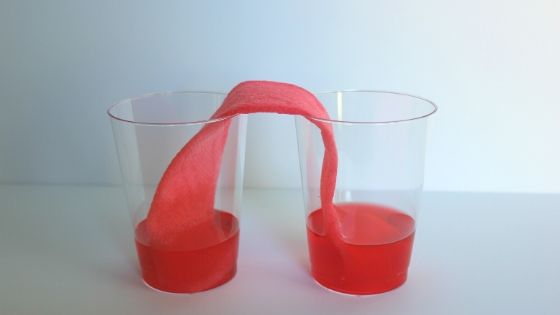 Walking Water Experiment: Capillary Action Explained | Mombrite