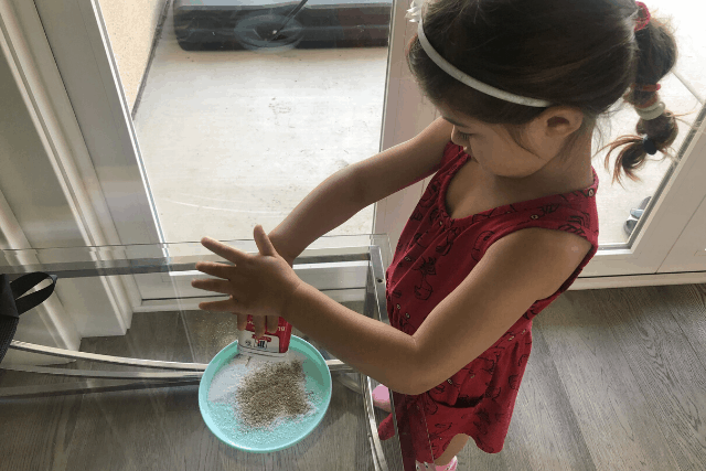 Salt and Pepper Static Electricity Experiment | Mombrite