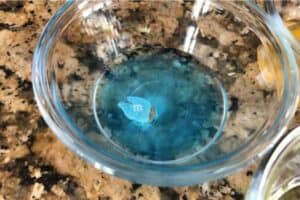 Floating M M&M Candy Science Experiment | Mombrite