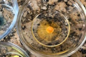 Floating M M&M Candy Science Experiment | Mombrite