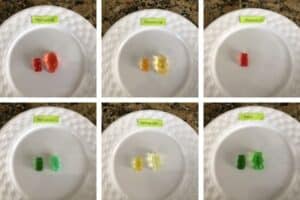 Growing Gummy Bear Science Experiment | Mombrite