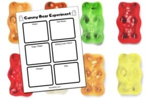 Growing Gummy Bear Science Experiment | Mombrite