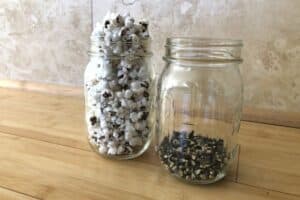 What Makes Popcorn Pop Science Experiment | Mombrite