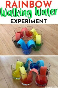 Rainbow Walking Water Experiment - Mombrite