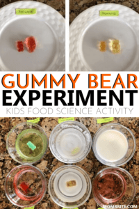 Growing Gummy Bear Science Experiment | Mombrite