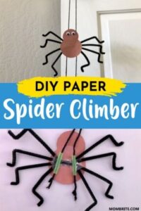 DIY Paper Spider Climber | Mombrite