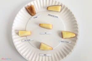 Apple Oxidation Science Experiment [Free Worksheet] | Mombrite