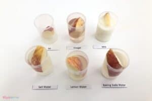 Apple Oxidation Science Experiment [Free Worksheet] | Mombrite