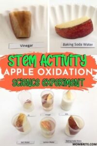 Apple Oxidation Science Experiment [Free Worksheet] | Mombrite