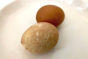 Tooth Decay Eggshells Experiment | Mombrite