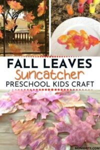 Coffee Filter Fall Leaves Craft for Kids | Mombrite