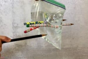 The Leakproof Bag Science Experiment | Mombrite