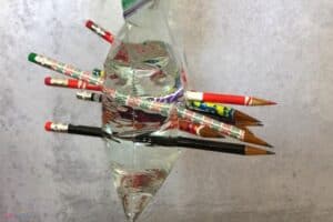 The Leakproof Bag Science Experiment | Mombrite