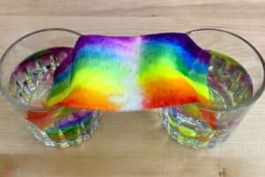 Easy Grow a Rainbow on Paper Towel Experiment - Mombrite