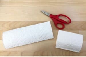 Easy Grow a Rainbow on Paper Towel Experiment - Mombrite