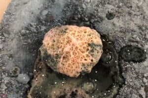 DIY Moon Rock - Mombrite
