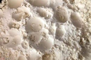 Making Moon Crater Activity | Mombrite