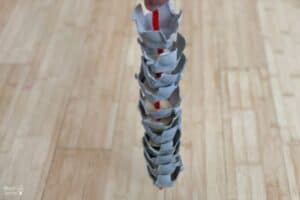 How to Make an Egg Carton Spine Model | Mombrite