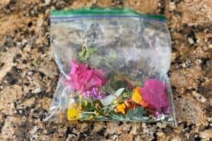 Frozen Flowers Sensory Ice Play | Mombrite