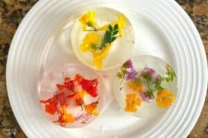 Frozen Flowers Sensory Ice Play - Mombrite