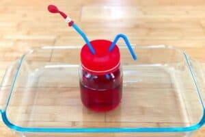 How to Make a DIY Pumping Heart Model | Mombrite