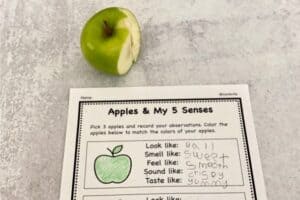 5 Senses Apple Activity [Free Printable] - Mombrite