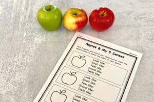 5 Senses Apple Activity [Free Printable] | Mombrite