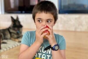 5 Senses Apple Activity [Free Printable] - Mombrite