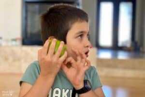 5 Senses Apple Activity [Free Printable] | Mombrite