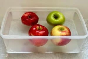Apple Boats: Apple Sink or Float Experiment | Mombrite
