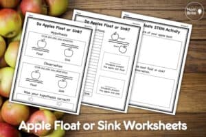 Simple Apple Sink or Float Experiment (Free Printable) - Mombrite