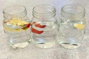 The Density of Apple Parts Experiment | Mombrite