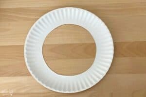 Paper Plate Spider Webs Craft - Mombrite