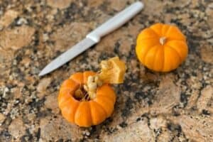 Erupting Mini Pumpkin Volcanos | Mombrite