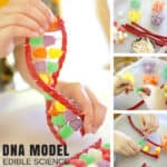 40+ Easy and Fun Edible Science Experiments for Kids - Mombrite