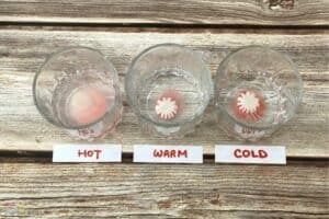 Dissolving Peppermint Candy Temperature Experiment | Mombrite