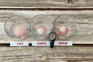 Dissolving Peppermint Candy Temperature Experiment | Mombrite