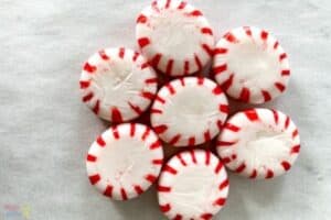 DIY Peppermint Bowls Science Experiment | Mombrite