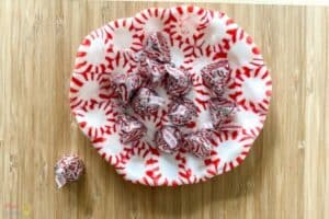 DIY Peppermint Bowls Science Experiment | Mombrite
