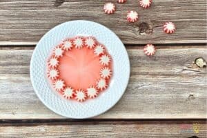 Peppermint Candy Water Science Experiment | Mombrite