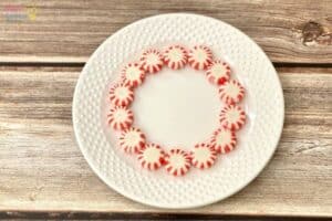 Peppermint Candy Water Science Experiment | Mombrite