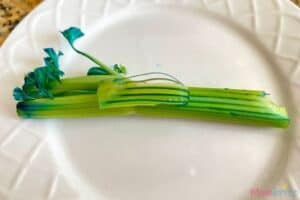 Celery and Food Coloring Science Experiment (Easy Plant Activity ...