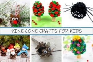 21 Adorable Pinecone Crafts for Kids | Mombrite