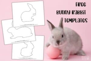 Free Printable Bunny Rabbit Templates | Mombrite