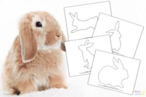 Free Printable Bunny Rabbit Templates | Mombrite