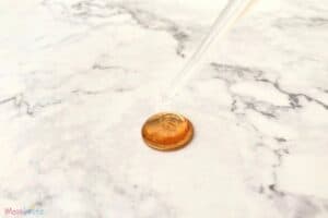 Drops of Water on a Penny Science Experiment | Mombrite