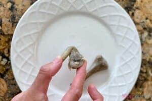 Bone in Vinegar Science Experiment | Mombrite