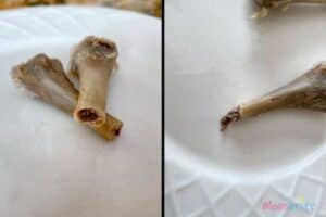 Bone in Vinegar Science Experiment | Mombrite